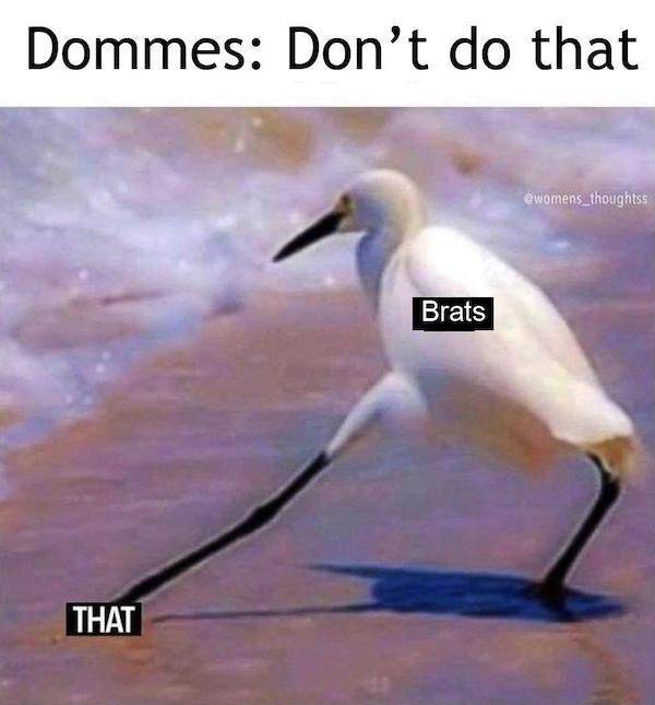 NSFW Humor: Indulge Your Mischievous Side With These Memes (35 PICS ...