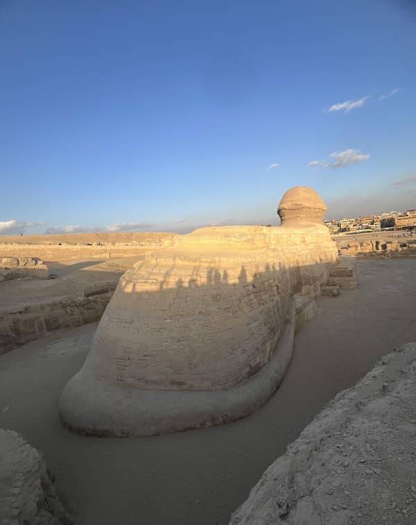 Images So Rare They Feel Unreal (21 PICS) - izispicy.com