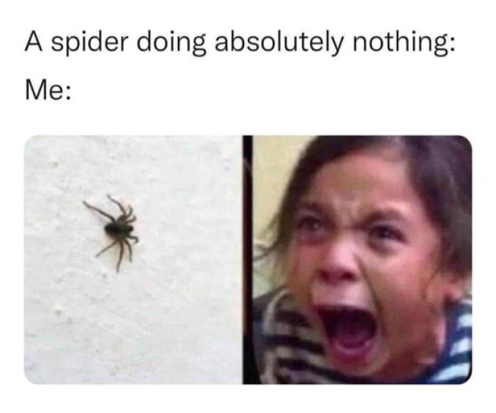 Pure, Unfiltered Dank Memes (40 PICS) - izispicy.com